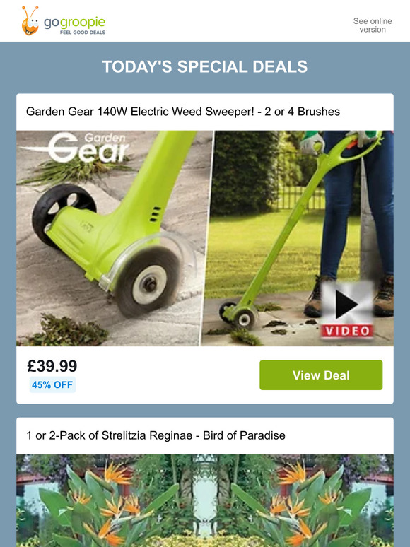 Go Groopie: ⚡ Electric Weed Sweeper ONLY £39.99! Bird of Paradise ...