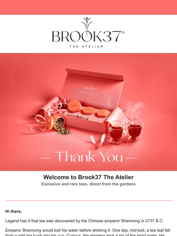 Brook 37 Tea: ⭐ Welcome to Brook37 - The last brand of tea you will ...