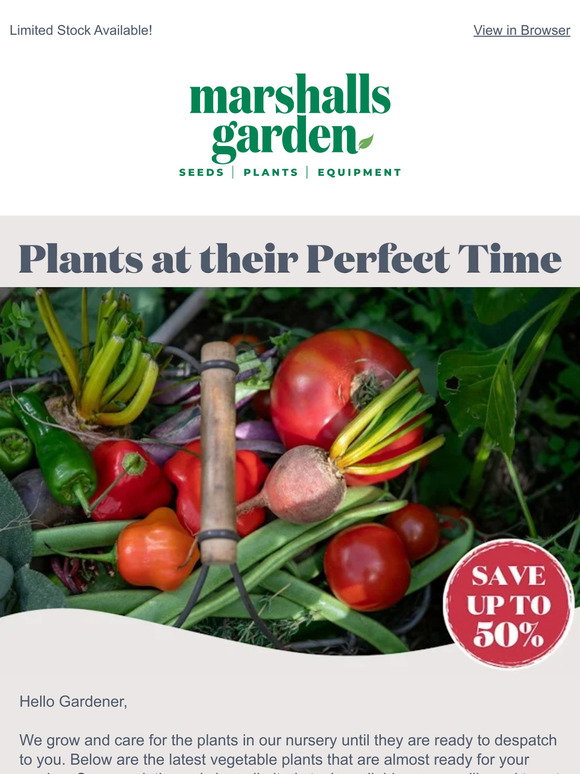 Marshalls Seeds: Fresh from our nursery to your vegetable plot | Milled