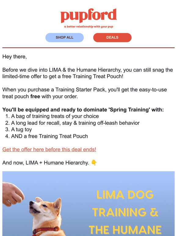 Pupford: LIMA Dog Training + Humane Hierarchy, Explained with Examples ...