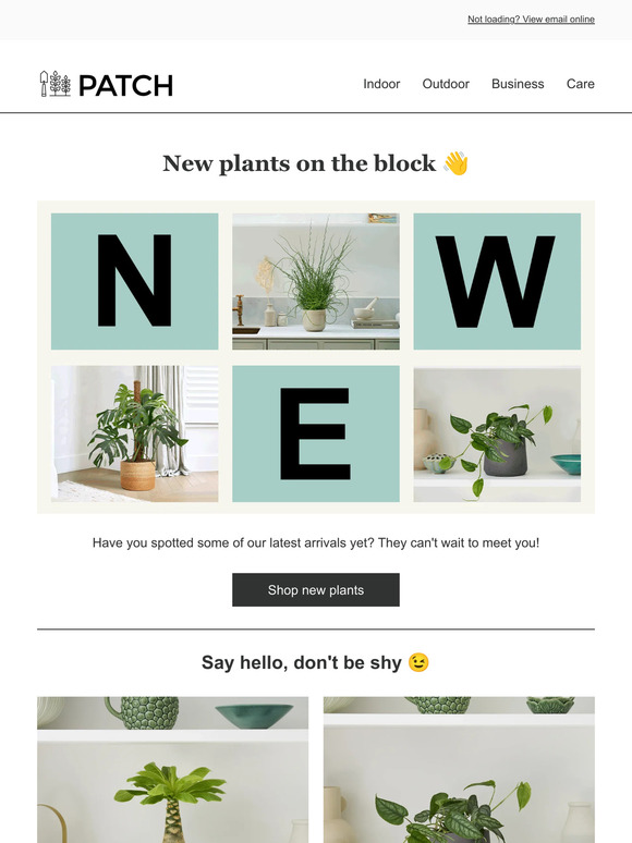 Patch Plants: New indoor plants are here 😍 | Milled