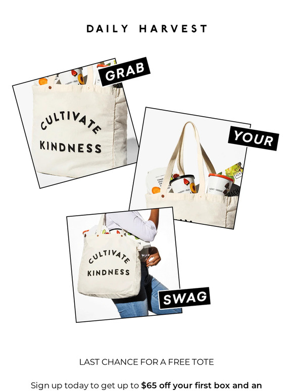 Daily Harvest Email Newsletters: Shop Sales, Discounts, and Coupon Codes