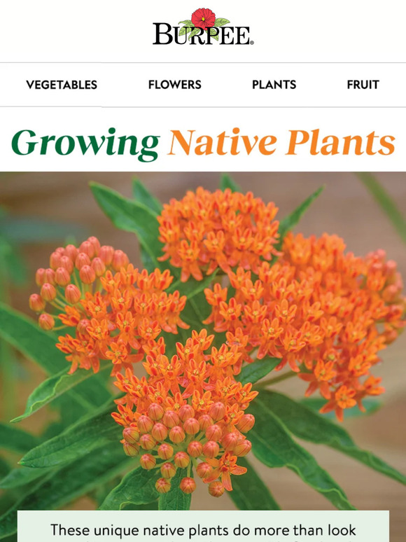 Burpee Grow Knockout Native Plants Milled 