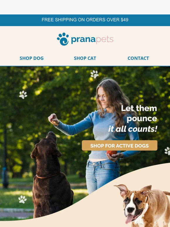Prana Pets: 10 Fun Dog Exercise Ideas for a Healthy Routine 🐶 | Milled