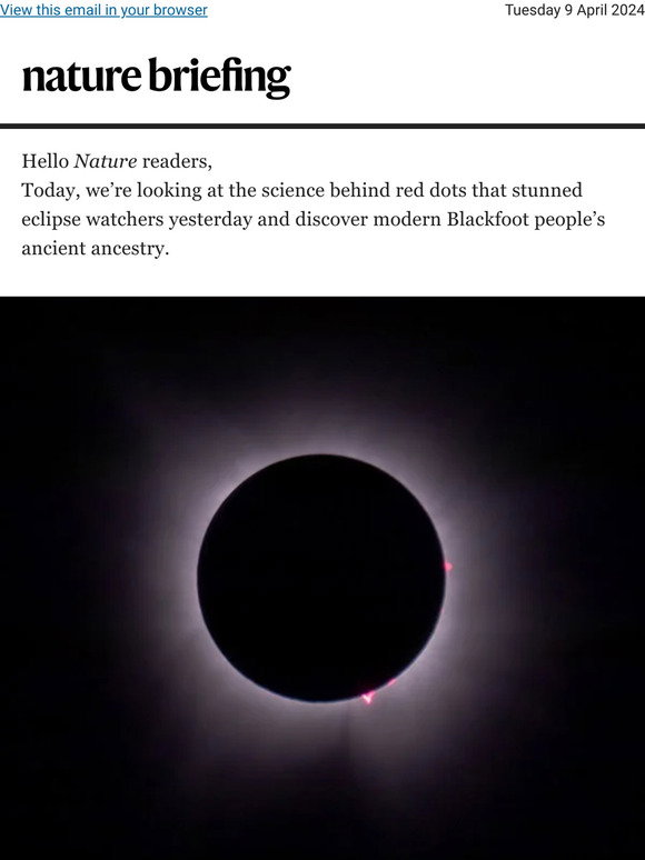 Nature: Eclipse watchers stunned by impressive ‘red dot’ prominences ...