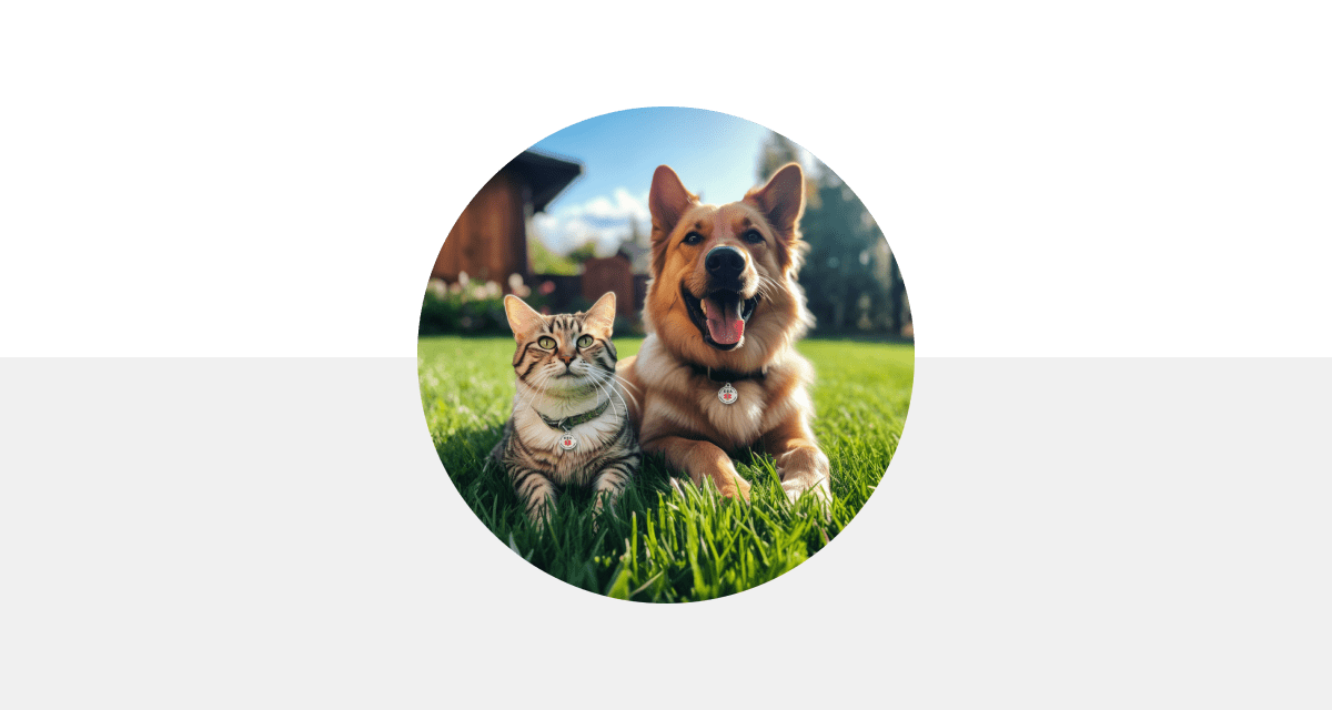 Support Pets: What Are They To You..? 🐶 | Milled