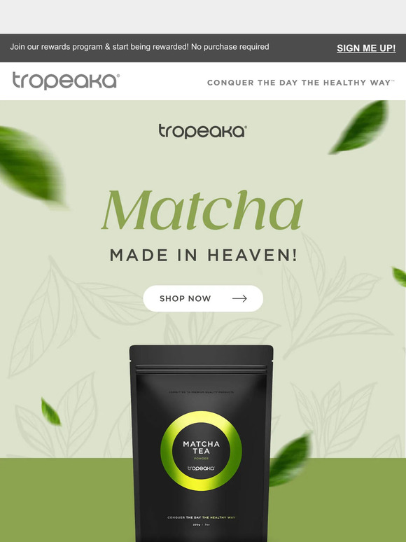 Tropeaka: Recipes You’ll Love So Matcha! 🍵 | Milled