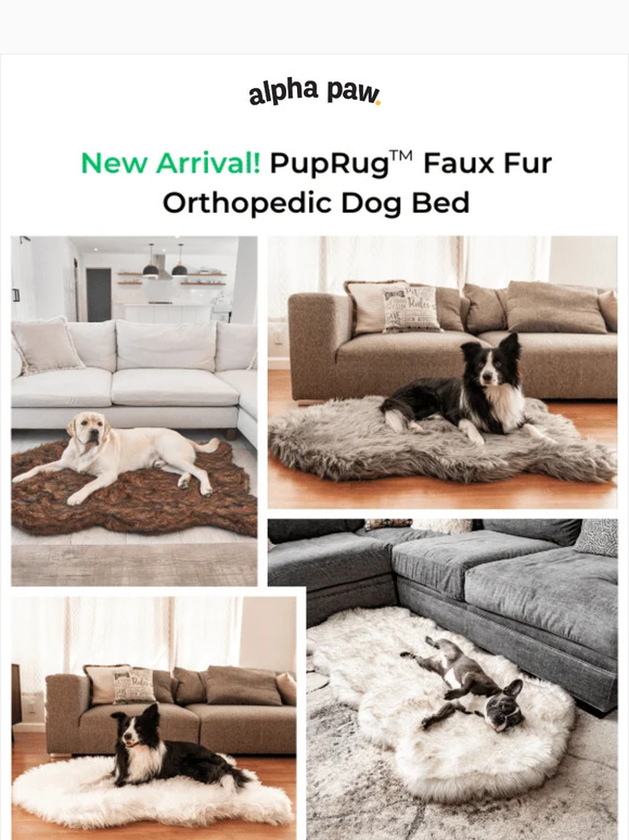 Alpha Paw: 🐶 Introducing: The PupRug™ Orthopedic Dog Bed! | Milled