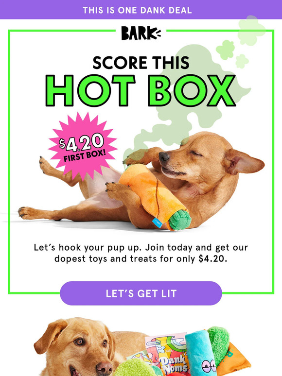 BarkBox: Our 420 box is only $4.20? Coincidence? 🤔 | Milled
