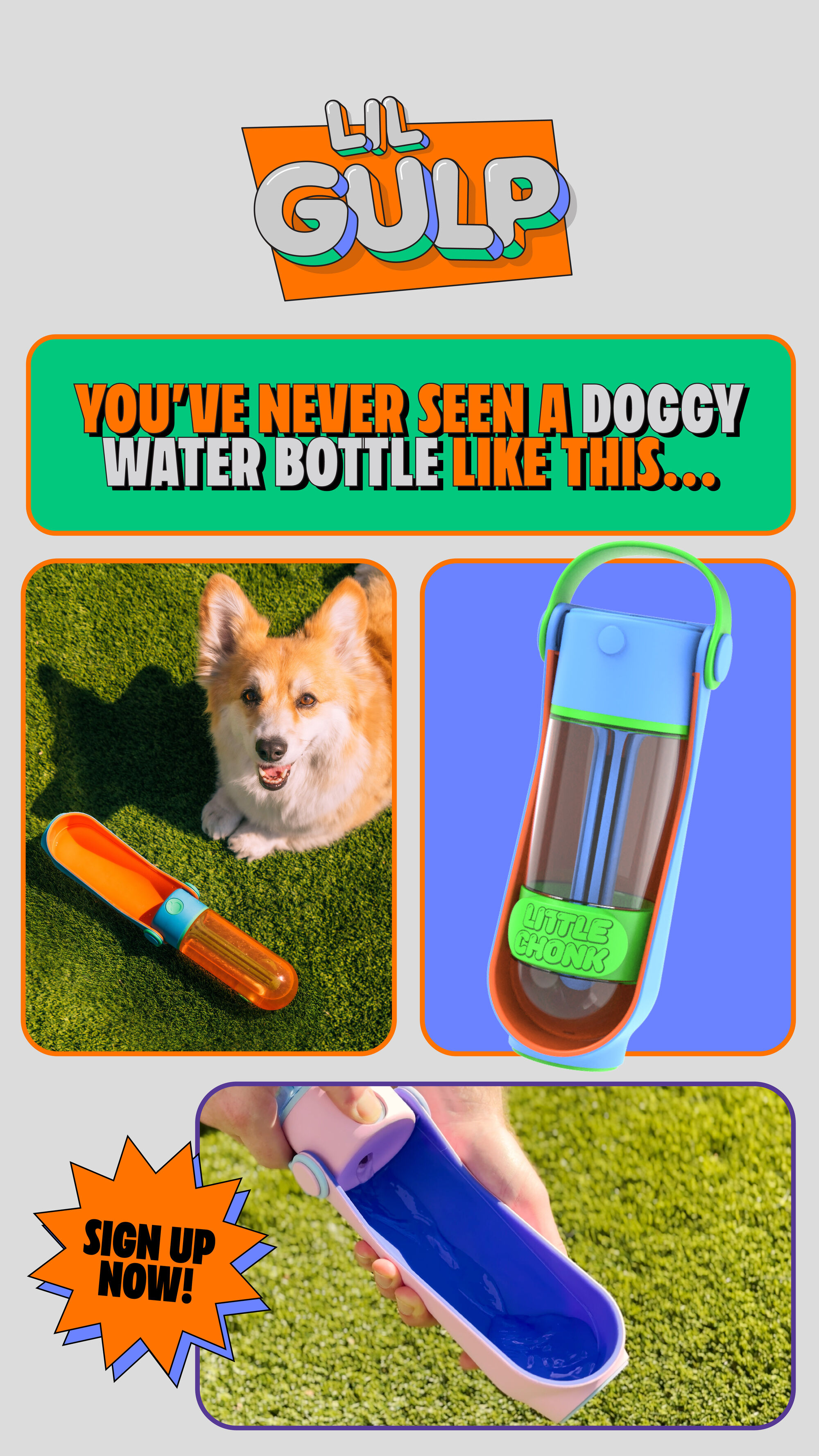 PROMiXX: Hydration Revolution for Dogs: Introducing Lil Gulp 🐶🥤 | Milled