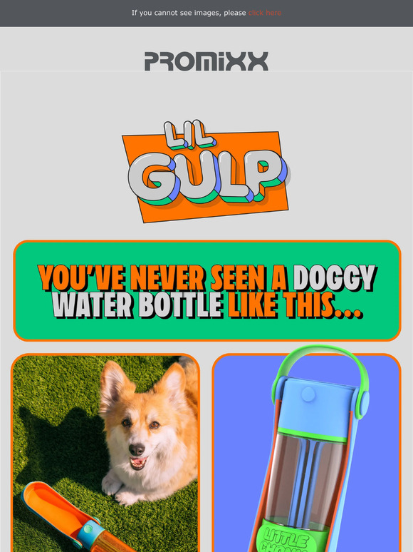 PROMiXX: Hydration Revolution for Dogs: Introducing Lil Gulp 🐶🥤 | Milled