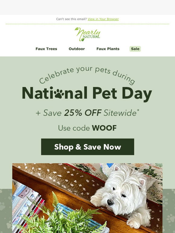 Nearly Natural: Celebrate National Pet Day with nature-inspired plants ...