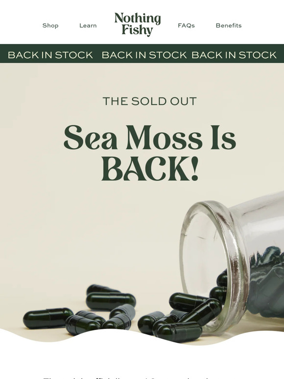 Nothing Fishy: The Sold Out Sea Moss is BACK! 🌱 | Milled