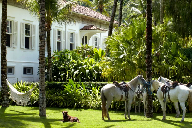 Architectural Digest: Inside Lenny Kravitz's Dreamy Brazilian Compound ...
