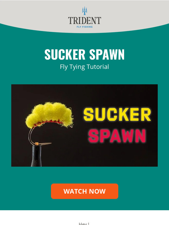 Trident Fly Fishing: How to Tie A Sucker Spawn Fly | Milled