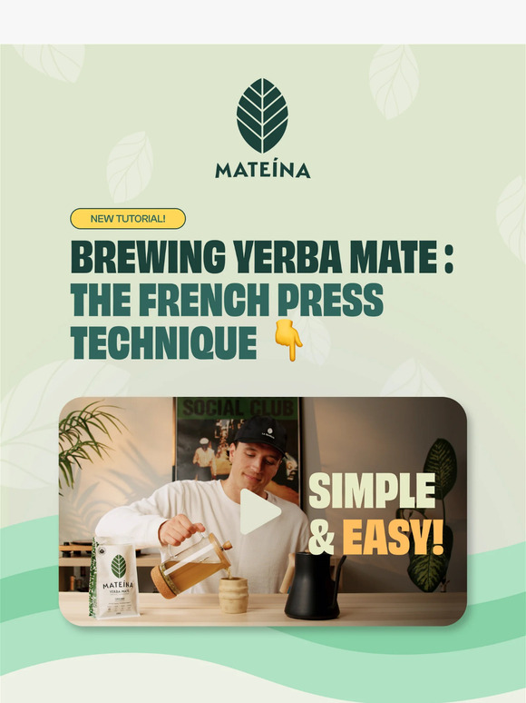 Mateína: Infuse Yerba Mate the Easy Way! 😎 | Milled