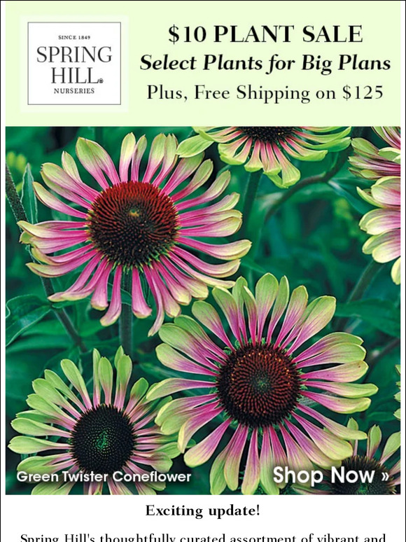 Spring Hill Nursery: $10 Plant Sale is back! | Milled