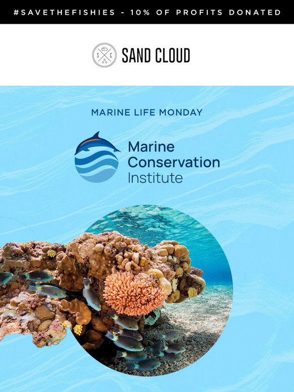 Sand Cloud: Meet Marine Conservation Institute 🐬 | Milled