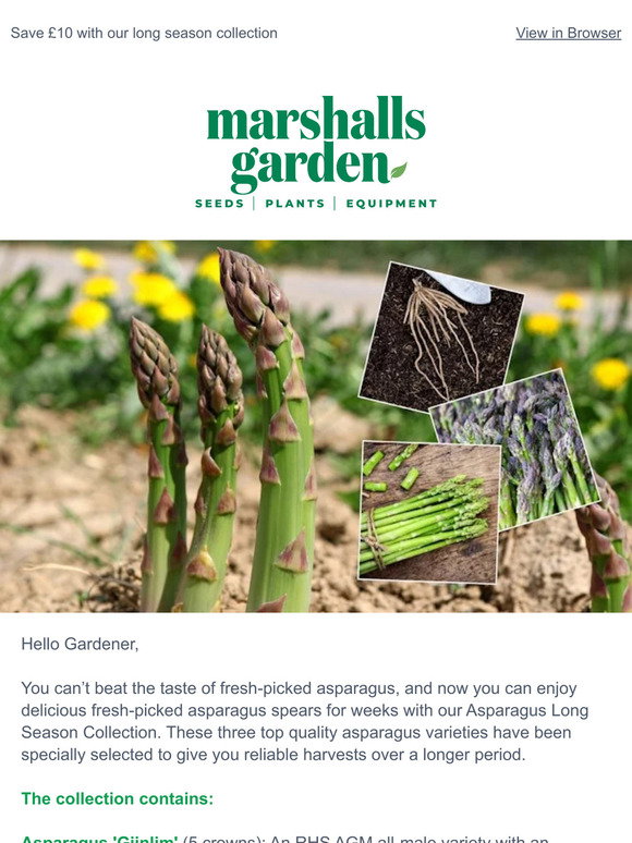 Marshalls Seeds: Homegrown Asparagus For Less Than £1.35 per Crown ...
