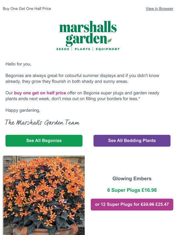Marshalls Seeds: Beautiful Begonias: Great for shady spots in your ...