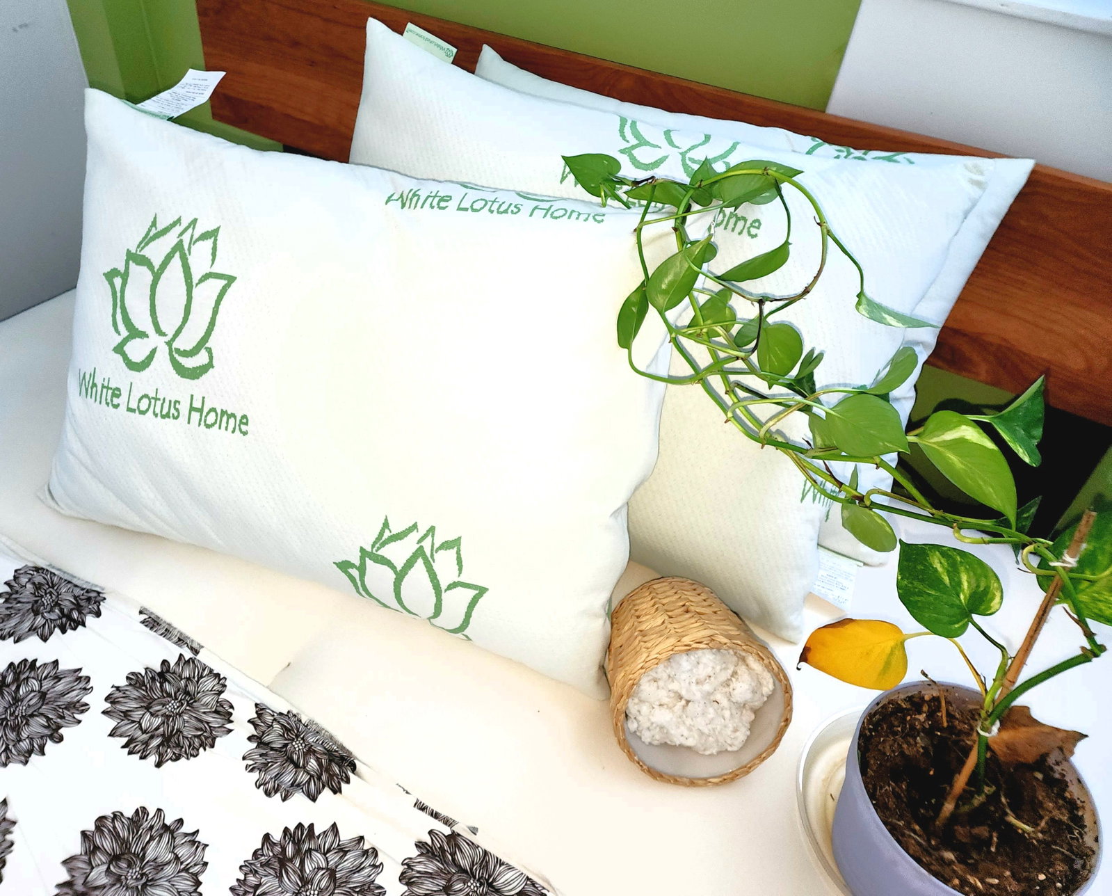 White Lotus Home: Earth Day is Almost Here, 7 Easy Green Steps Here ...