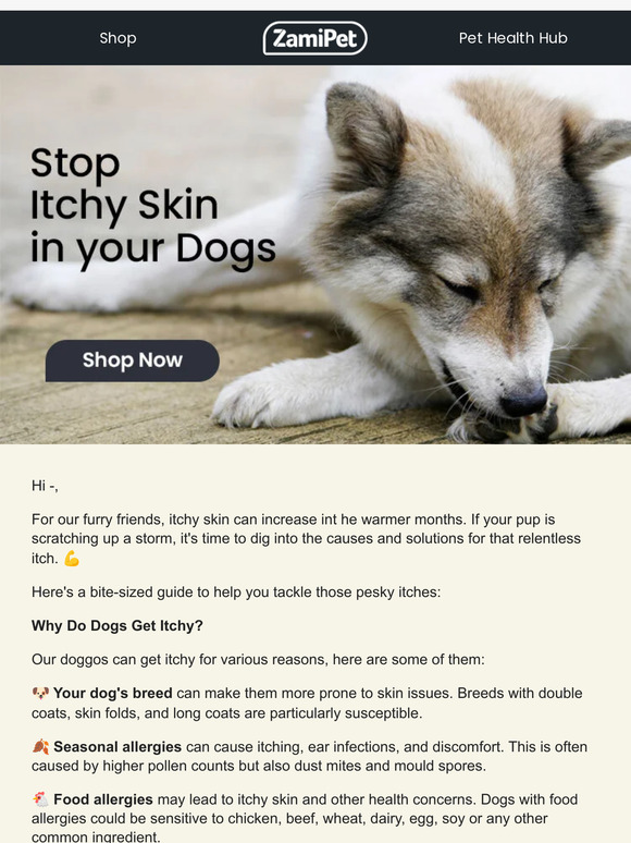 ZamiPet: Prevent and Treat Itchy Skin & Paws in your dog 🐶 | Milled