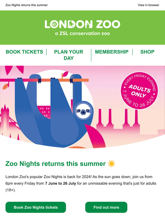 London Zoo: Zoo Nights is back! Tickets on sale now 🌟 | Milled