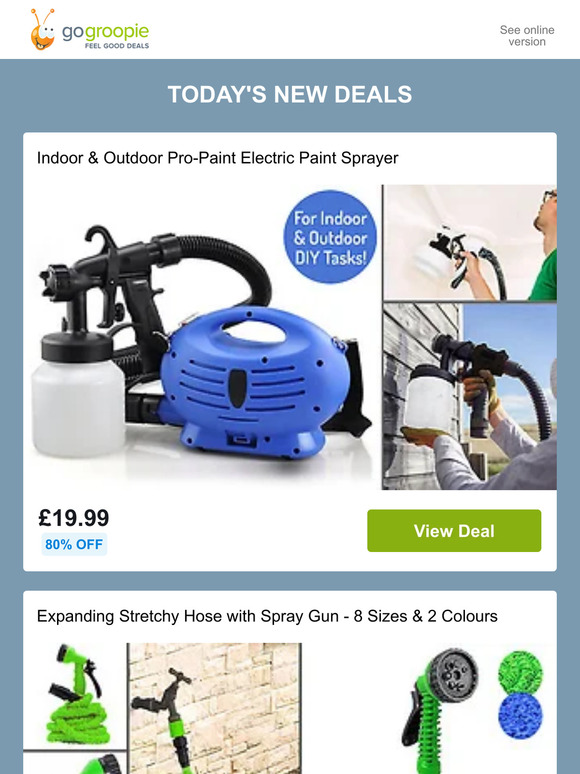 Go Groopie: FIRST 50: Electric ProPaint Sprayer £19.99! Shrub Rose ...