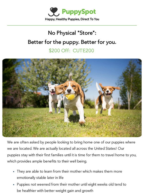 PuppySpot: Frequently Asked Question: Where Are We Located? | Milled