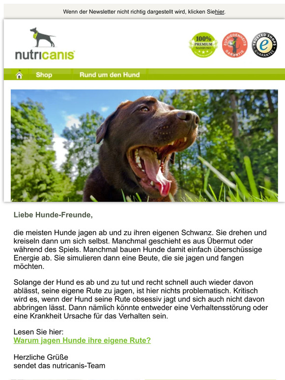 Nutricanis: Warum jagen Hunde ihre eigene Rute? | Milled