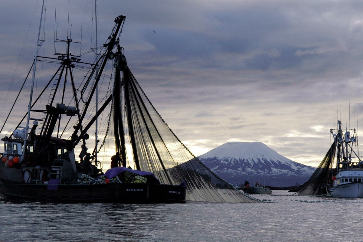 Fulton Fish Market: 3️⃣ reasons to choose wild Alaska seafood | Milled