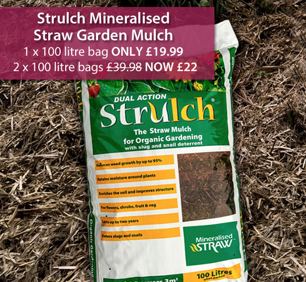 Thompson & Morgan: Weed Suppressing Strulch - Customer Favourite! | Milled