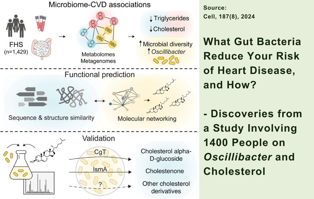 Layer Origin Nutrition: What Gut Bacteria Reduce Your Risk of Heart ...