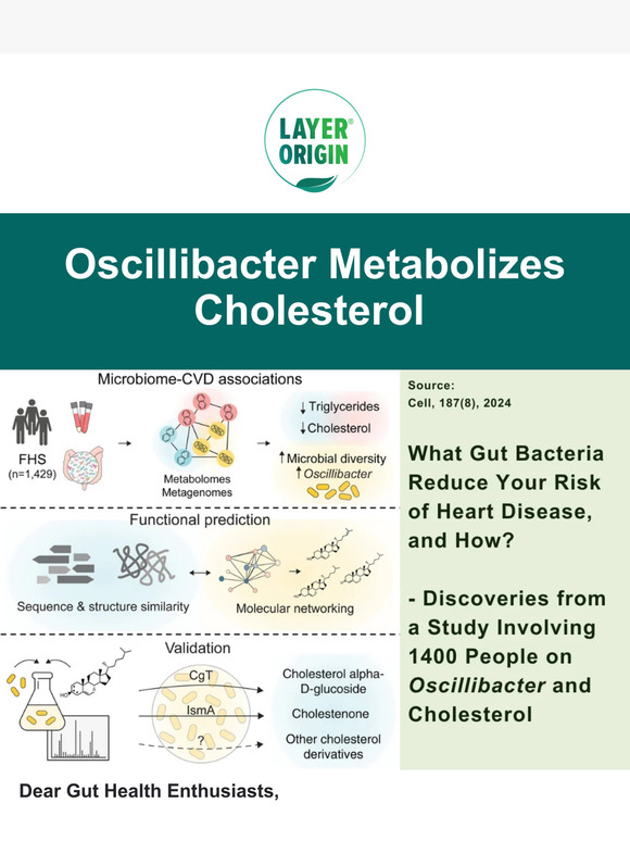 Layer Origin Nutrition: What Gut Bacteria Reduce Your Risk of Heart ...