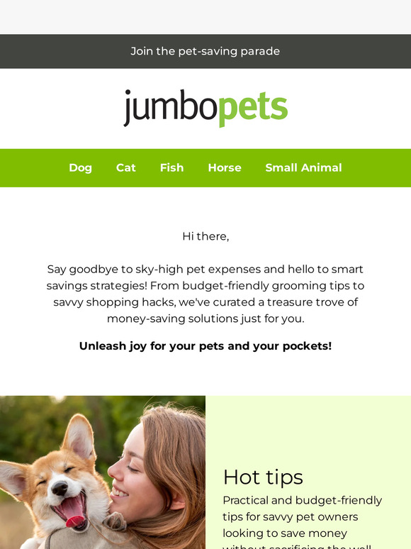 Jumbo Pets: Budget-Friendly Tips for Pet Owners | Milled