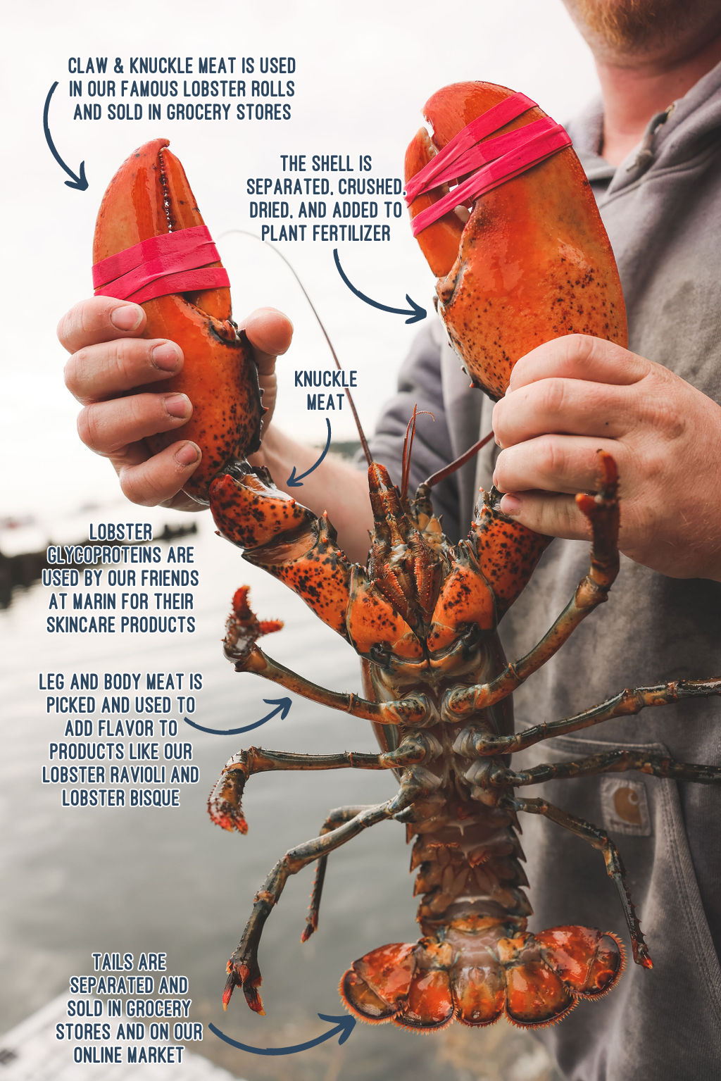 Luke's Lobster: How we use the whole lobster to reduce waste 🦞🌍 | Milled