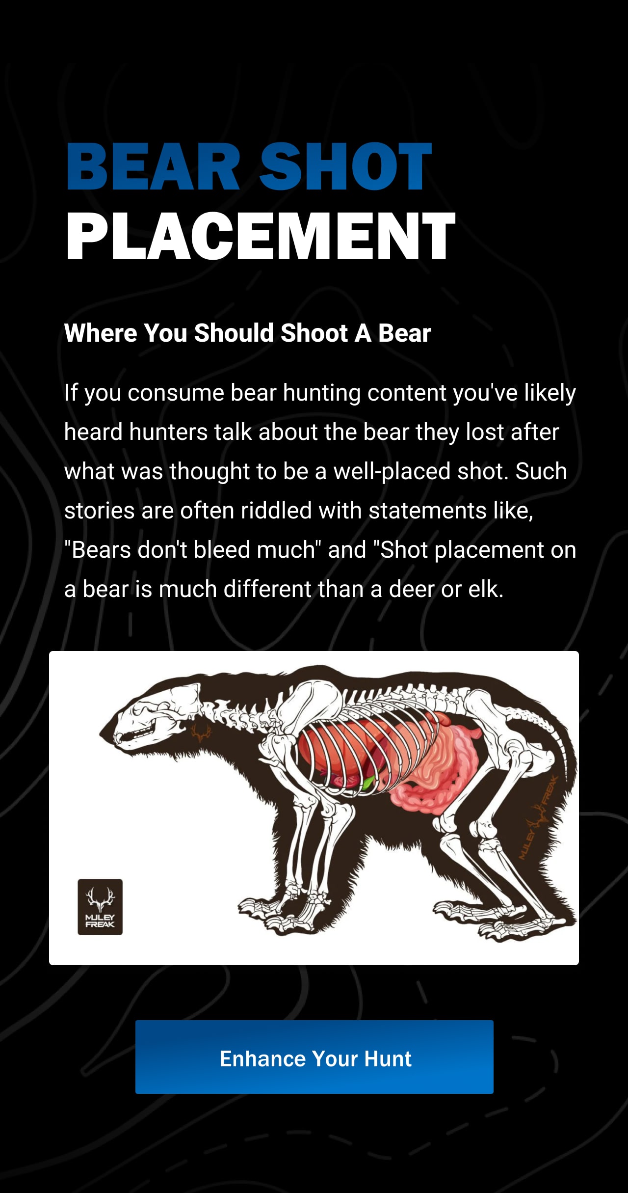 Muley Freak Bear Anatomy And Shot Placement Info Milled 3074