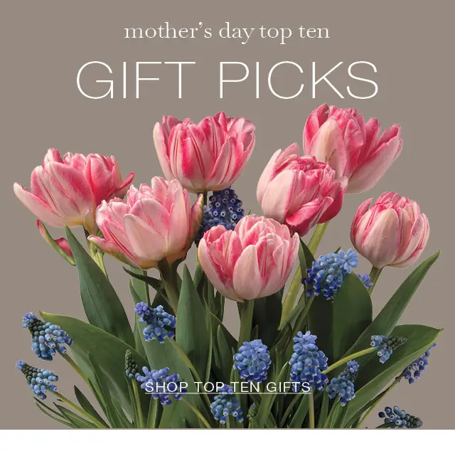 VivaTerra: Top Ten picks for Mother's Day | Milled