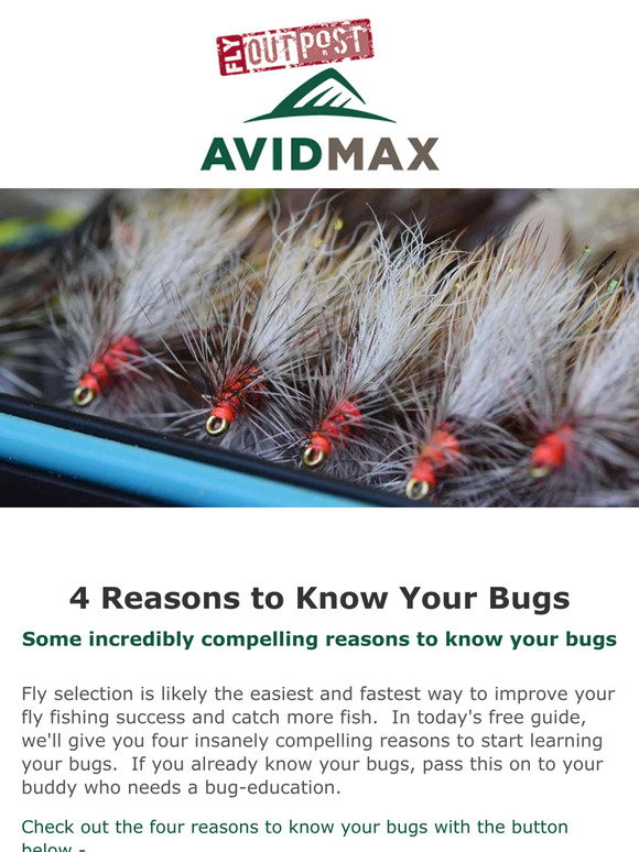 AvidMax: 4 key reasons to learn your bugs for fly fishing | Milled