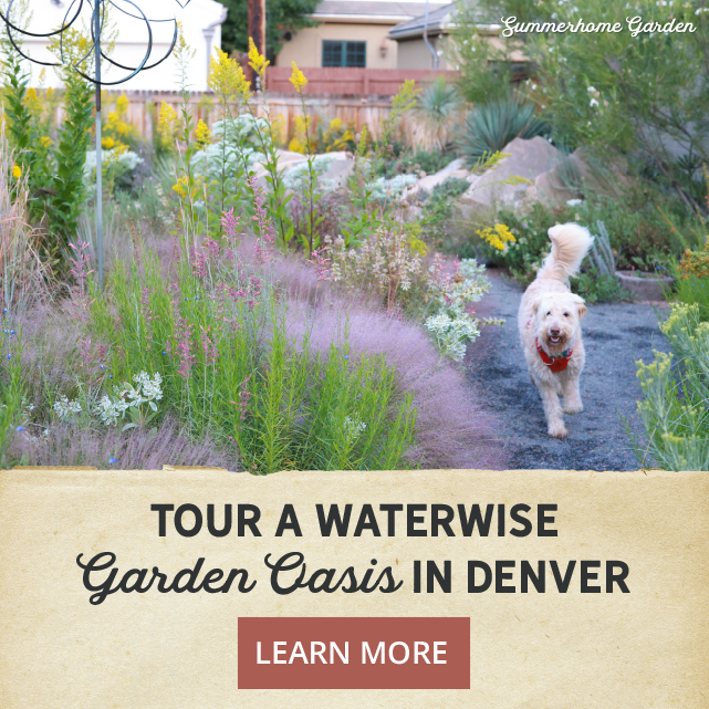 High Country Gardens: Tour A Waterwise Garden Oasis In Denver | Milled