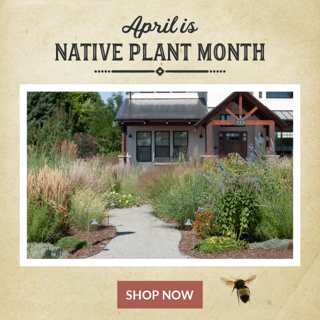 High Country Gardens: Tour A Waterwise Garden Oasis In Denver | Milled