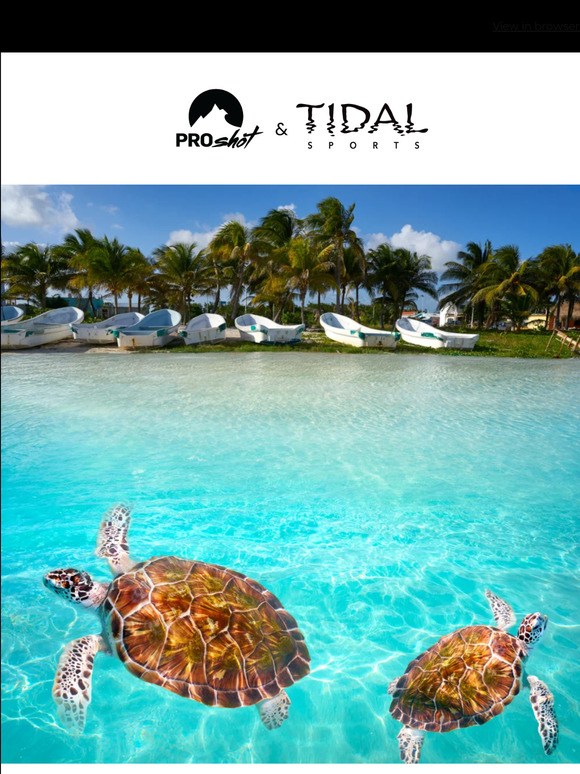 proshotcase: MUST Visit These Dive Spots! ️ | Milled