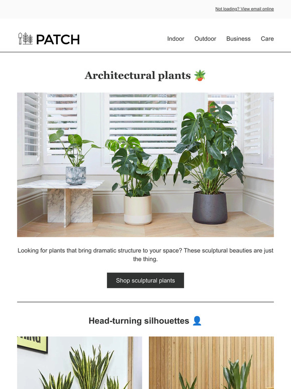 Patch Plants: These plants are living sculptures 😮 | Milled