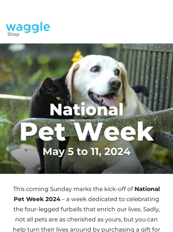 Waggle: National Pet Week 2024 – celebrate your pet! | Milled