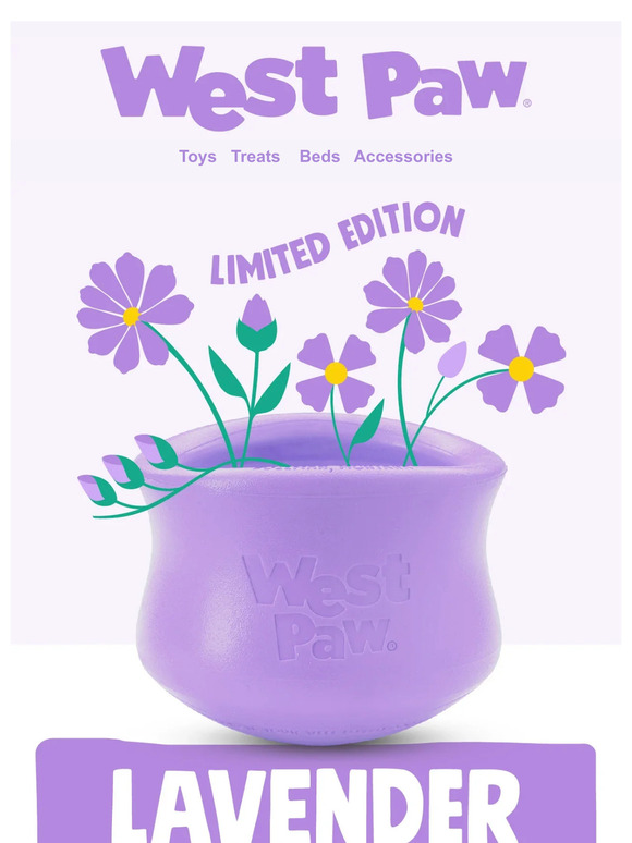 West Paw: LAVENDER Toppl Is Here! 💜 | Milled