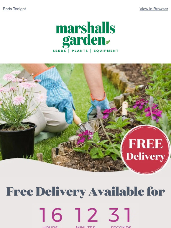 Marshalls Seeds: Free Delivery Ends Tonight, for you | Milled
