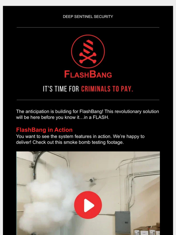 Deep Sentinel: FlashBang - Smoke Bomb Video & Basic Specs | Milled