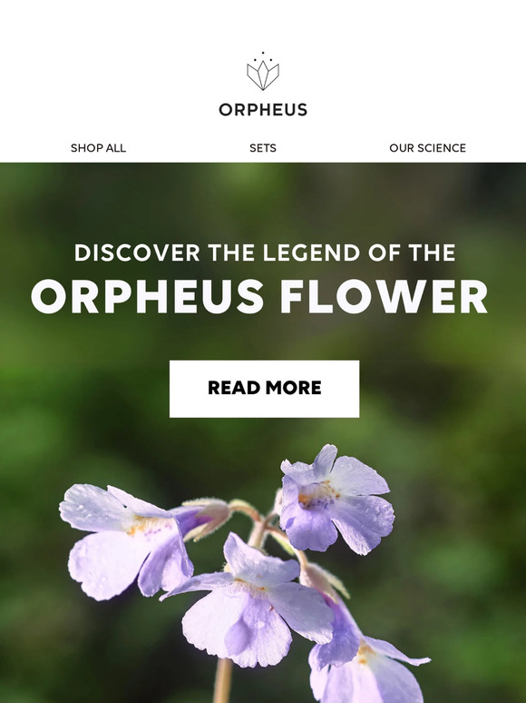 ORPHEUS Skincare: 💜 This one flower TRANSFORMS your skin... | Milled