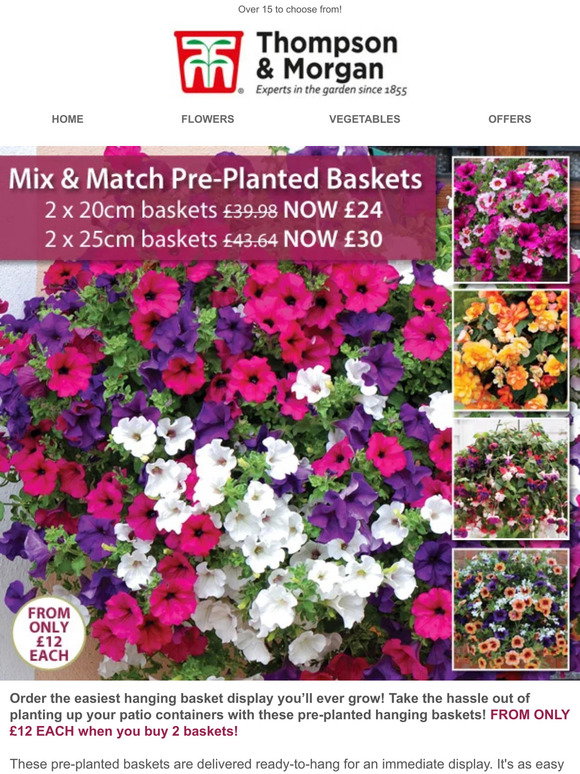 Thompson & Morgan: Pre-Planted Hanging Baskets ONLY £12 EACH! 48 HOURS ...