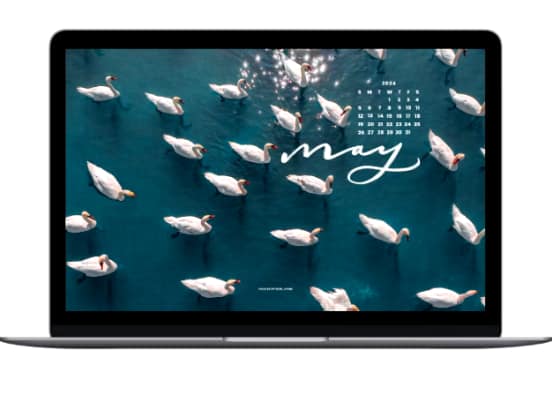 The Everygirl: Free, Downloadable Tech Backgrounds for May 2024! 💻 | Milled